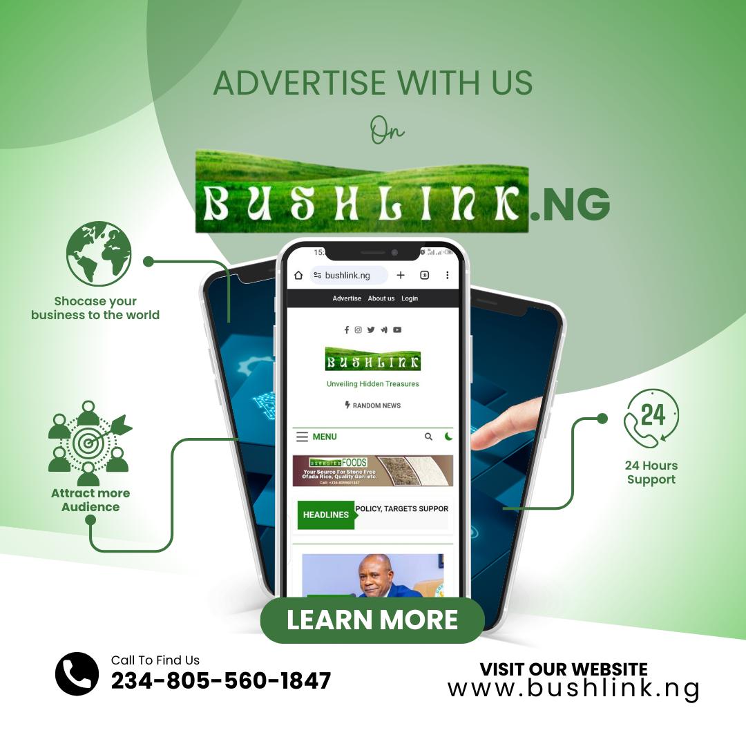 About us – BushLink